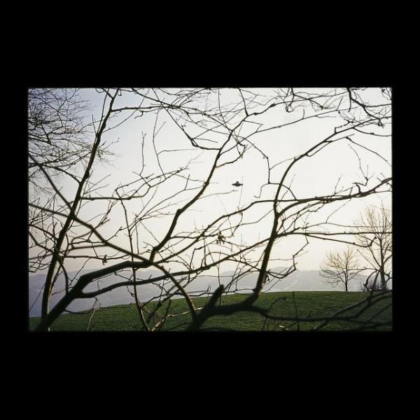 UFO Photo Gallery | TheyFly.com